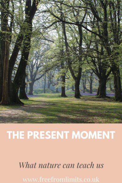 The Present Moment: What Nature Teaches - Free From Limits