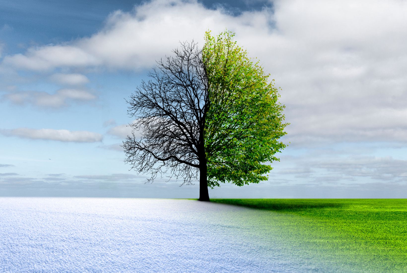 How Change Happens - Free From Limits
